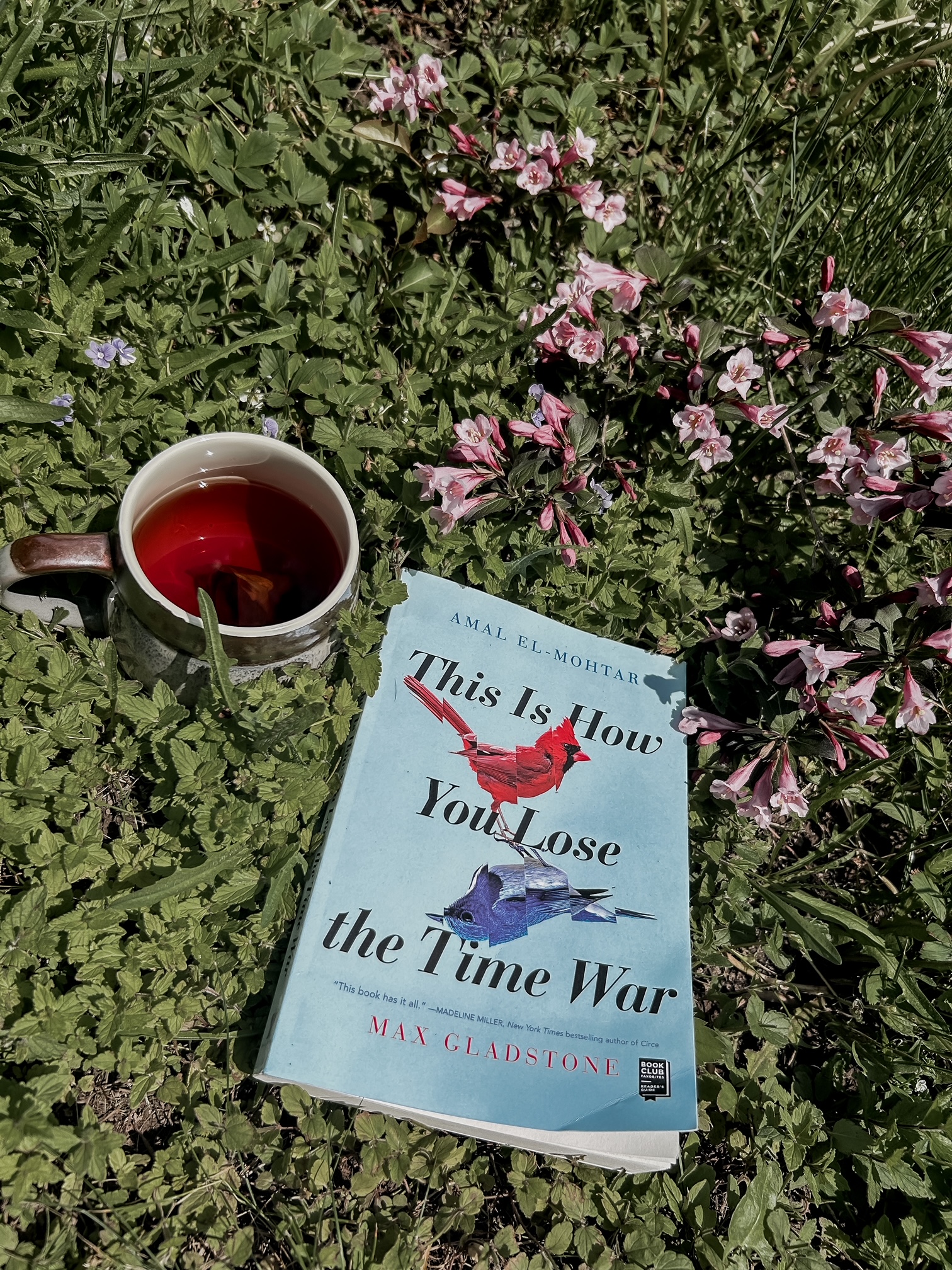 Book Review: This Is How You Lose The Time War by Amal El-Mohtar and ...